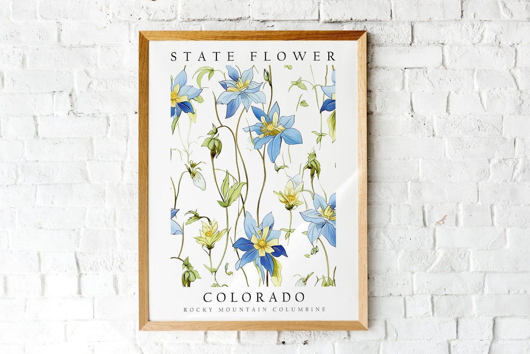 Rocky Mountain Columbine, Colorado State Flower, Poster Print, Wall ...