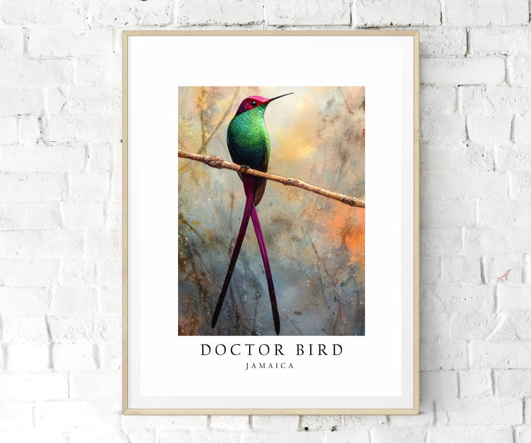 Doctor Bird, Jamaica National Bird, Poster Print, Wall Art Home Décor ...