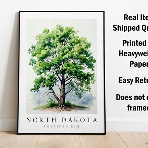 American Elm, the State Tree of North Dakota, Poster Print, Wall Décor ...