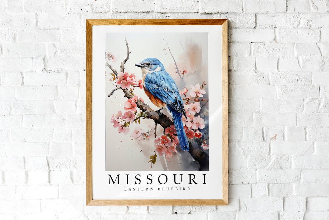 Eastern Bluebird, the State Bird of Missouri, Poster Print, Wall Décor ...