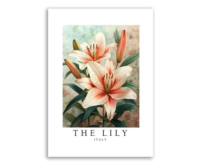 The Lily, Italy National Flower, Poster Print, Wall Home Décor - Etsy