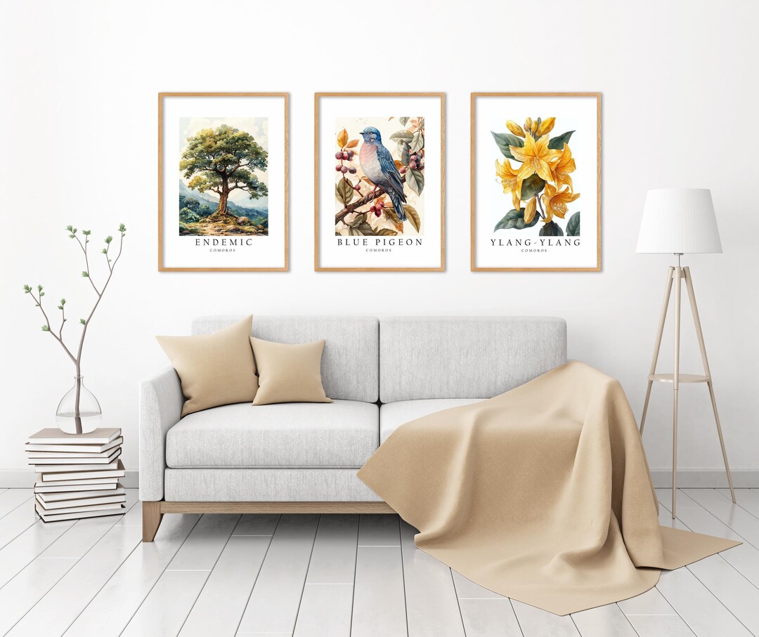 Comoros National Symbols, the Blue Pigeon, Ylang-ylang Flower, Endemic ...