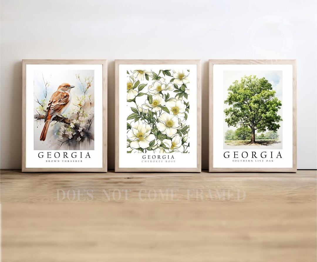 Georgia State Bird, Tree, Flower Poster Prints: Home Decor Set of 3 - Etsy