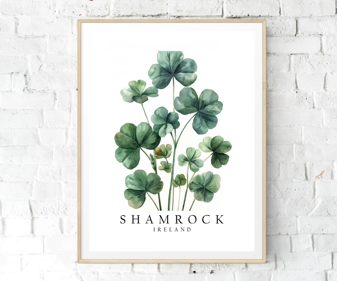 Shamrock, Ireland National Flower, Poster Print, Wall Home Décor - Etsy