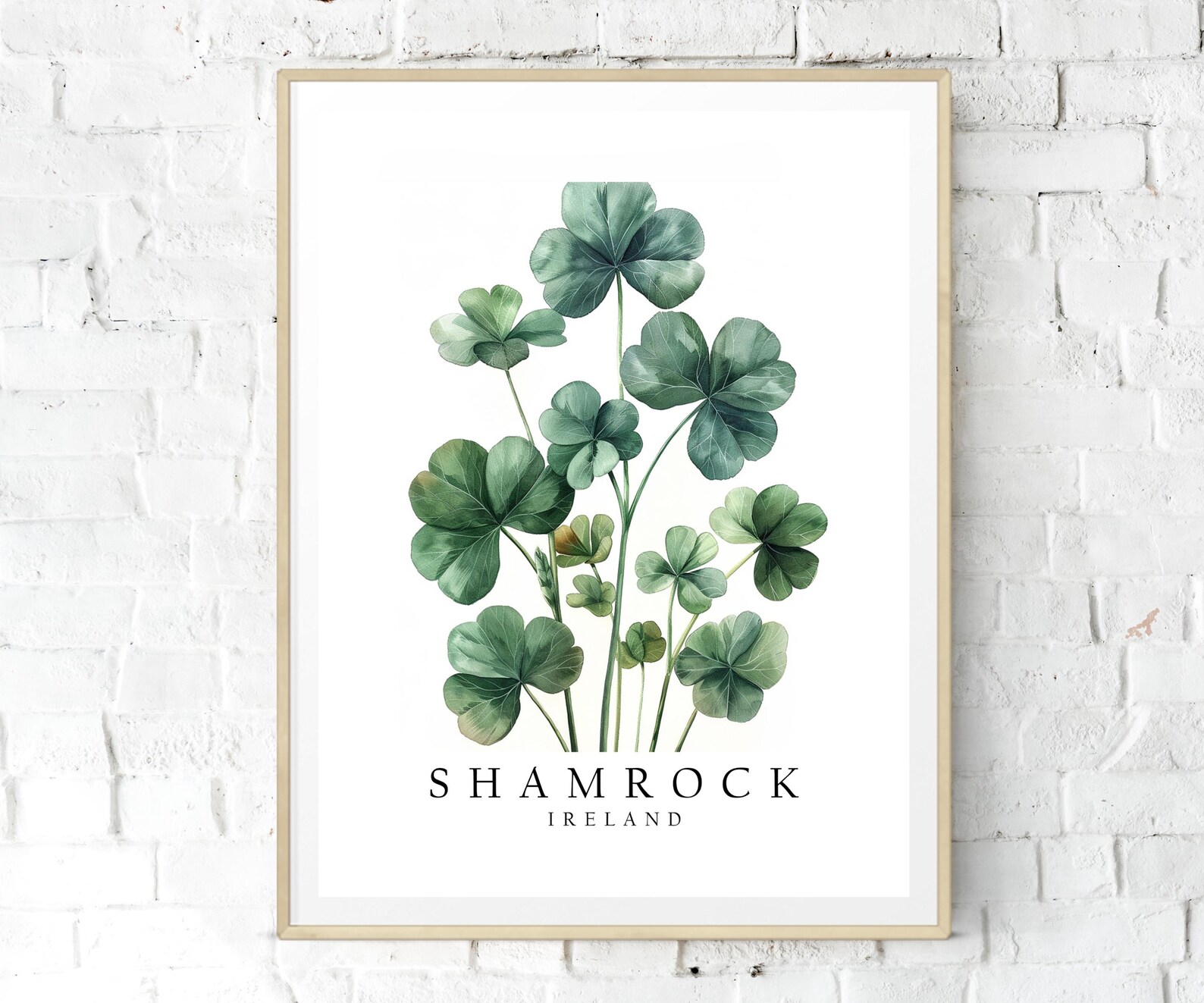 Shamrock, Ireland National Flower, Poster Print, Wall Home Décor - Etsy