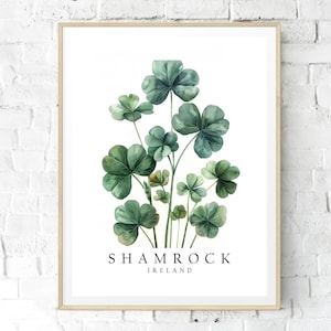 Shamrock, Ireland National Flower, Poster Print, Wall Home Décor - Etsy