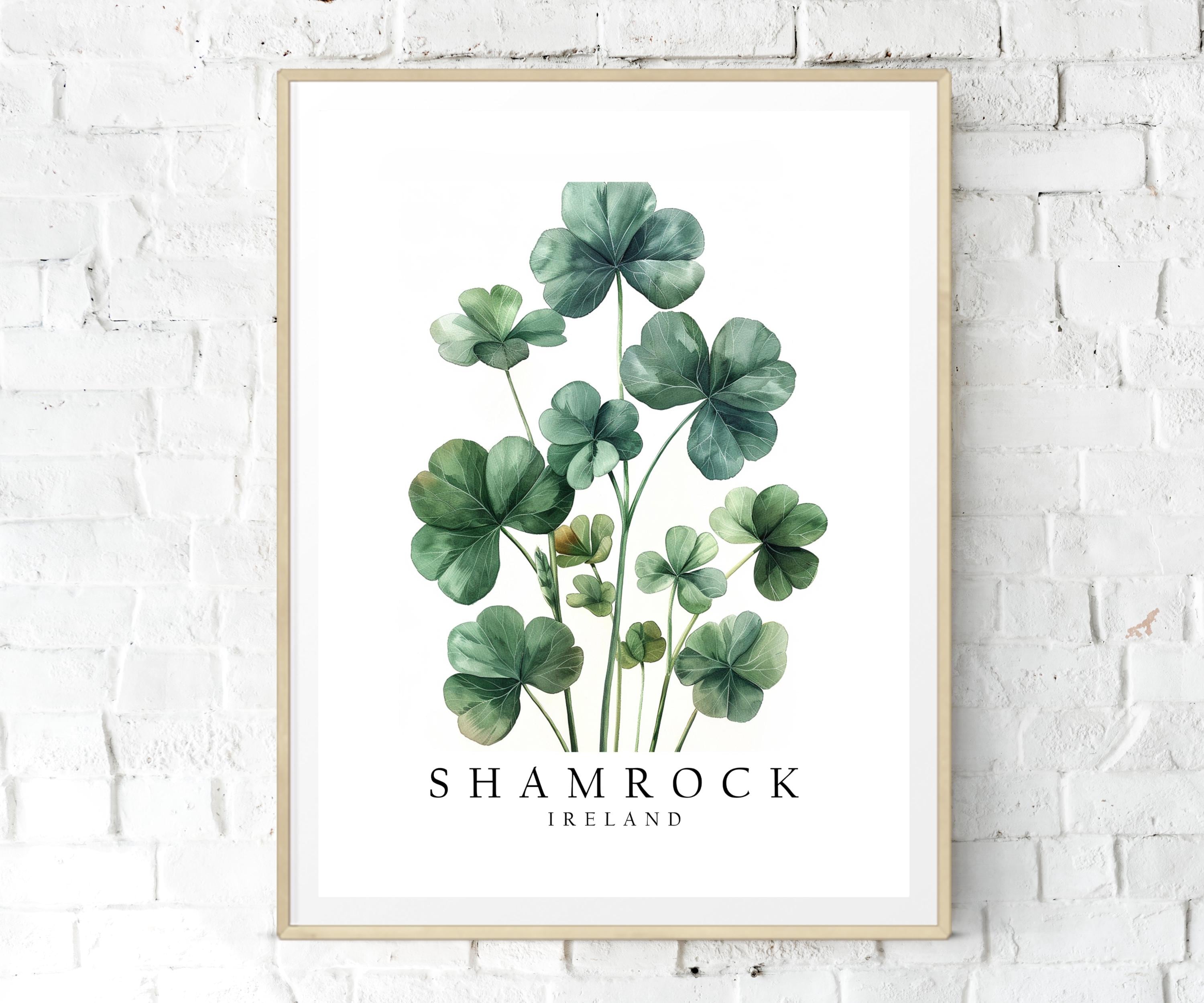 Shamrock, Ireland National Flower, Poster Print, Wall Home Décor - Etsy