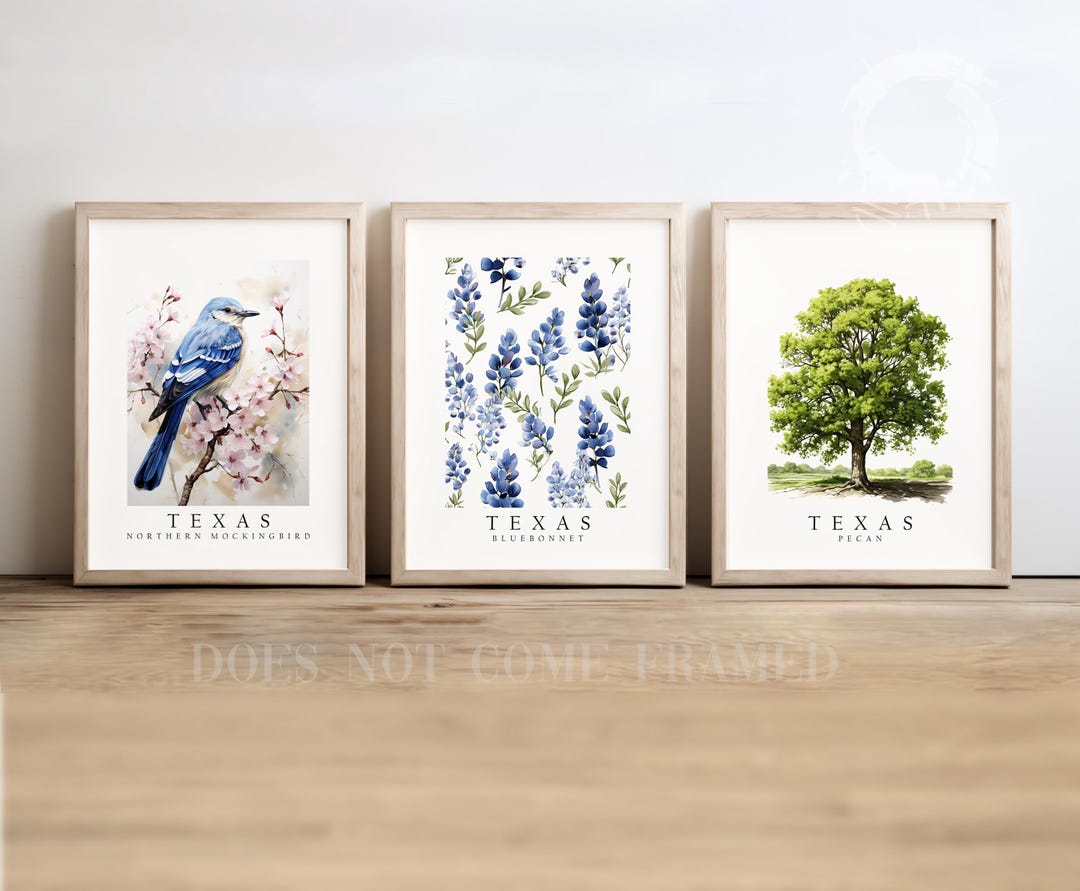 Texas State Symbols Poster Print Set, Mockingbird, Pecan, Bluebonnet - Etsy
