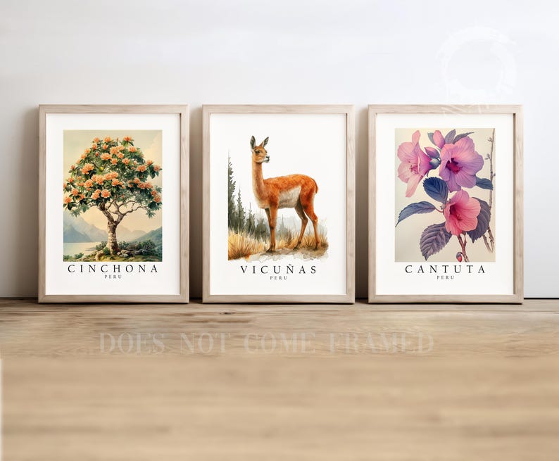 Peru National Symbols Poster Prints, Vicuña, Cantuta, Cinchona - Set of ...
