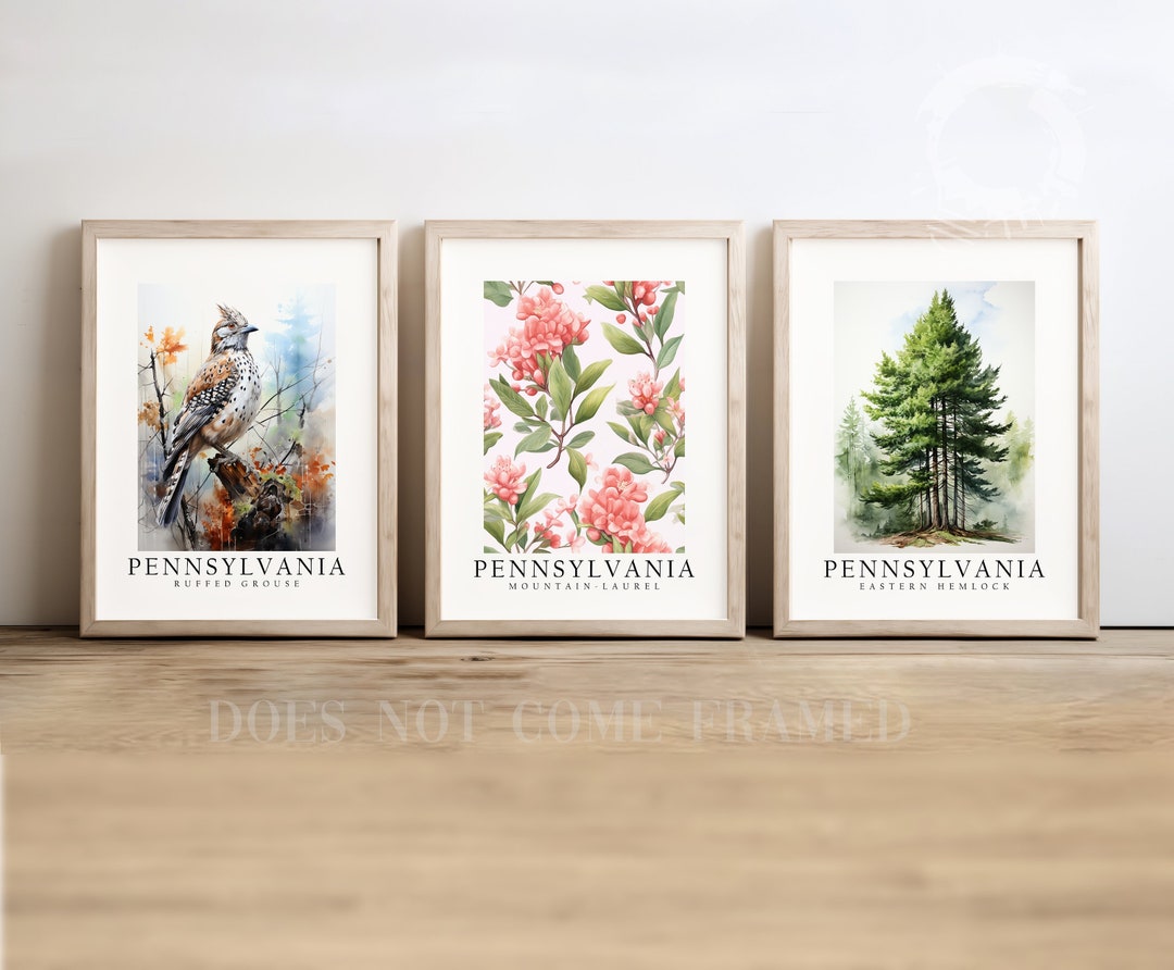 Pennsylvania State Bird Ruffed Grouse, State Tree Eastern Hemlock ...