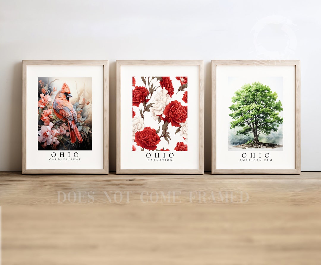 Ohio State Symbols Poster Prints, Cardinal, Buckeye, Carnation, Set of ...