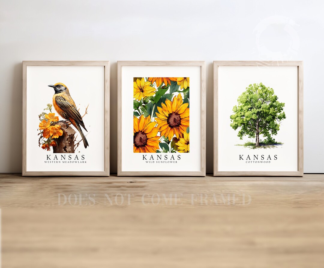 Kansas State Bird Western Meadowlark, State Tree Cottonwood, State ...