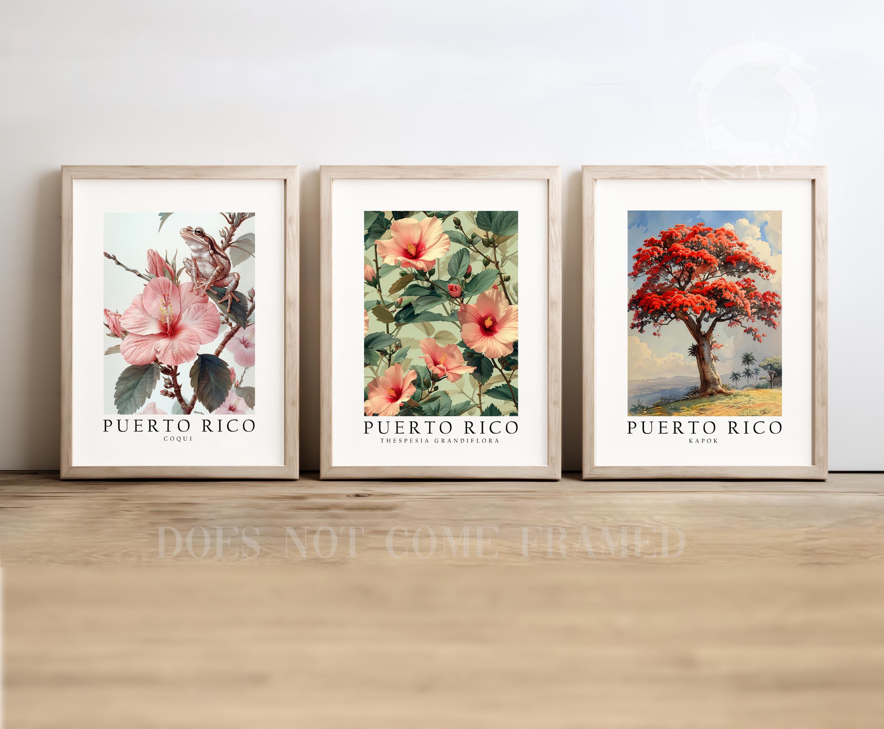 Puerto Rico National Symbols Poster Prints, Coqui, Flower, Kapok Tree ...