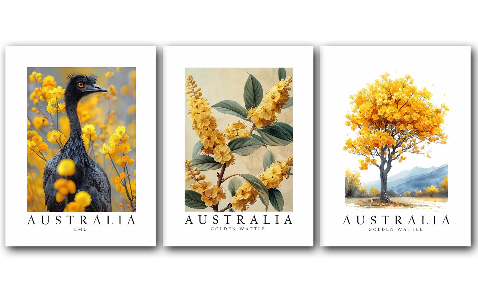 Australian National Symbols Poster Prints, Emu & Golden Wattle, Set of ...