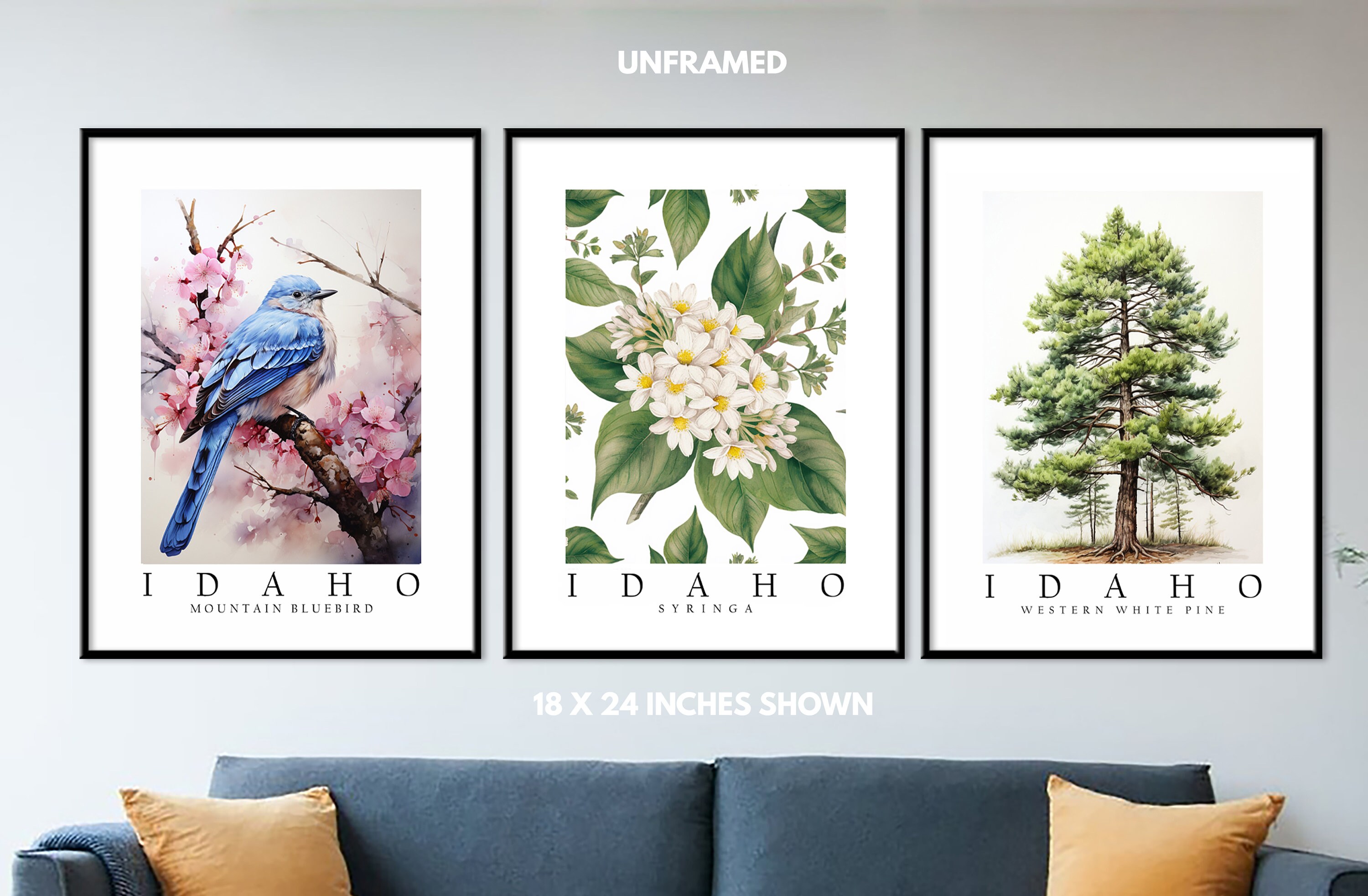 Idaho State Symbols Poster Prints, Mountain Bluebird, Syringa, White ...