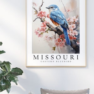 Eastern Bluebird, the State Bird of Missouri, Poster Print, Wall Décor ...