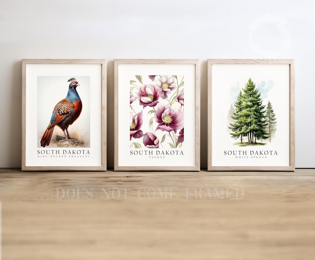 South Dakota State Bird Ring-necked Pheasant, State Tree White Spruce ...