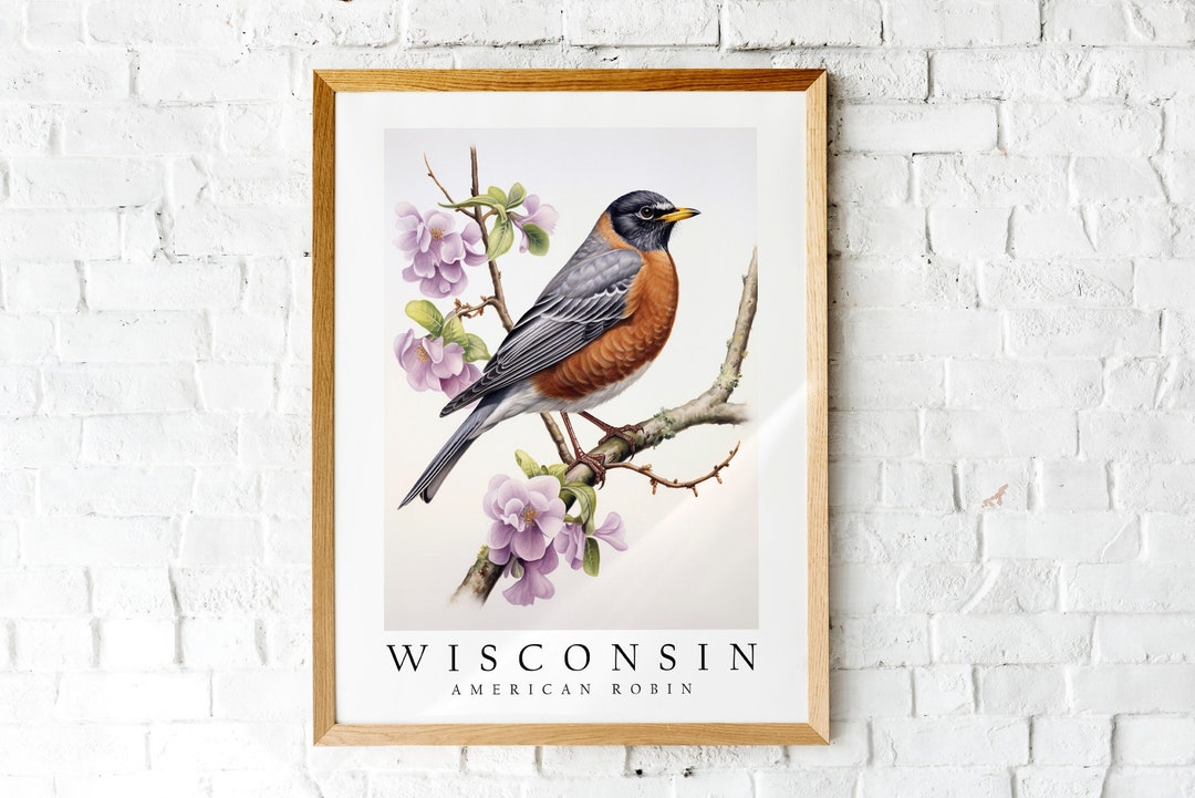 American Robin, the State Bird of Wisconsin, Poster Print, Wall Décor ...