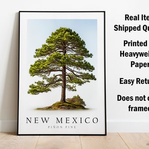 Piñon Pine, the State Tree of New Mexico, Poster Print, Wall Décor - Etsy