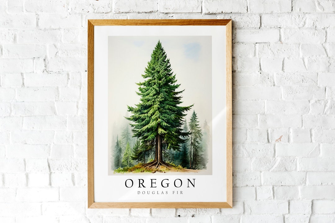 Douglas Fir, the State Tree of Oregon, Poster Print, Wall Décor - Etsy