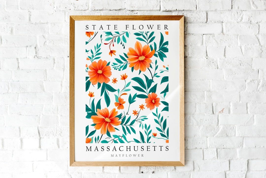 Mayflower, the State Flower of Massachusetts, Poster Print, Wall Décor ...