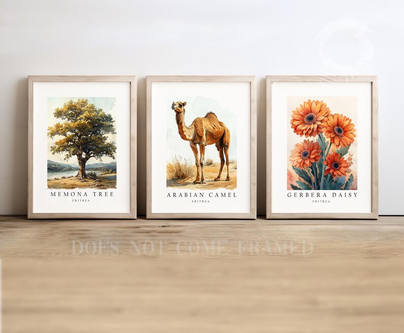 Eritrea National Symbols Poster Prints: Camel, Daisy, Tree - Set of 3 ...