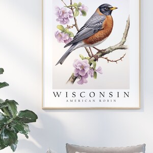 American Robin, the State Bird of Wisconsin, Poster Print, Wall Décor ...