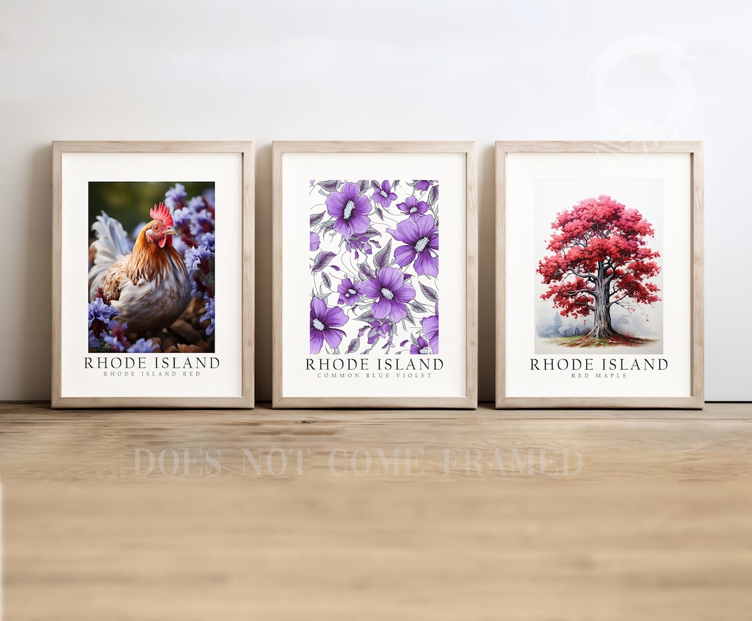 Rhode Island State Symbols Poster Prints, Bird, Flower, Tree Set - Etsy