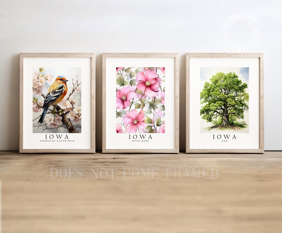 Iowa State Bird Eastern Goldfinch, State Tree Oak, State Flower Wild ...