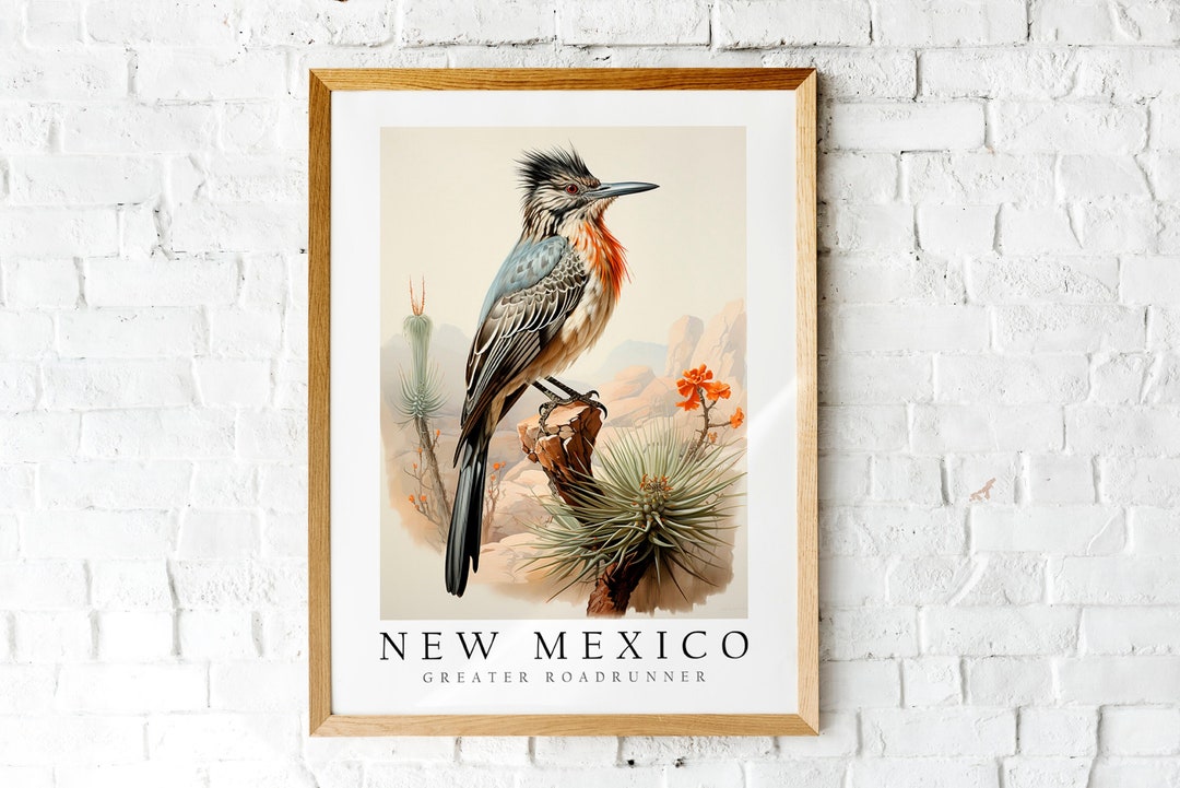Greater Roadrunner, the State Bird of New Mexico, Poster Print, Wall ...