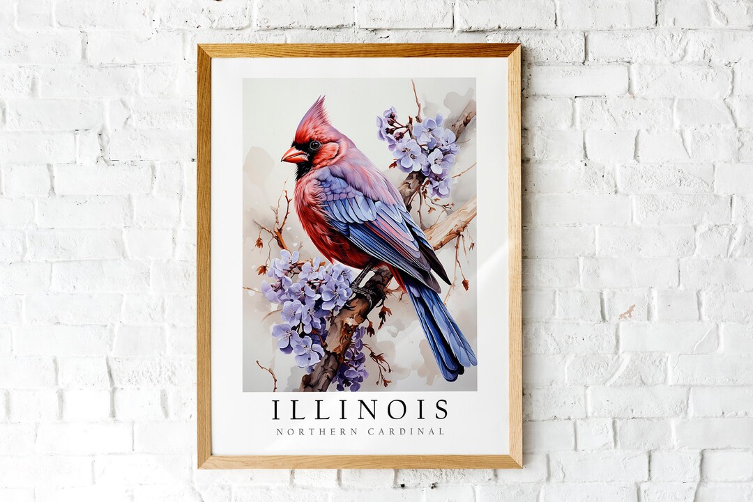 Northern Cardinal, the State Bird of Illinois, Poster Print, Wall Décor ...