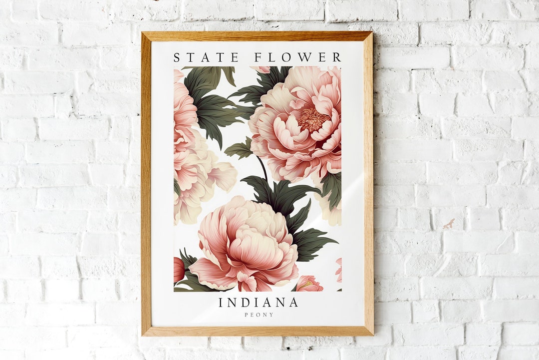 Peony, Indiana State Flower, Poster Print, Wall Décor - Etsy