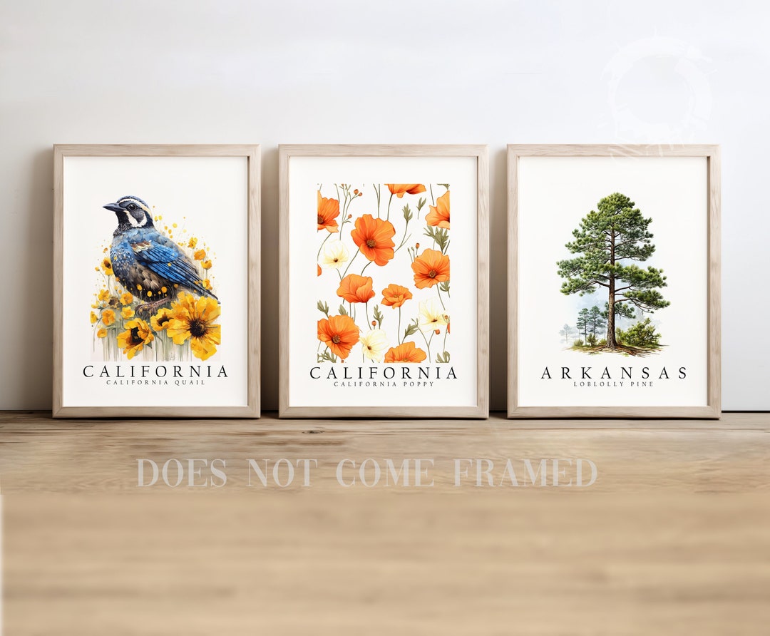 California State Bird Quail, State Tree Giant Sequoia, State Flower ...