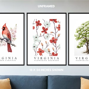 Virginia State Bird Northern Cardinal, State Tree Flowering Dogwood ...