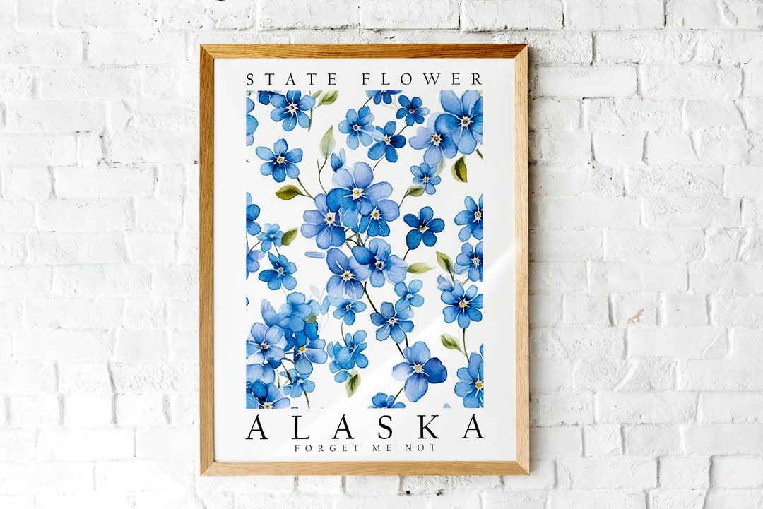 Forget Me Not, Alaska State Flower, Poster Print, Wall Décor - Etsy