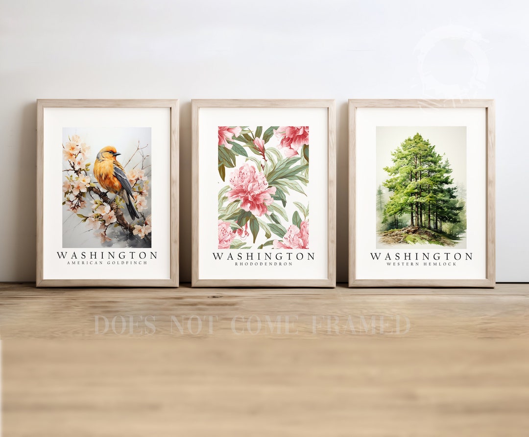 Washington State Bird American Goldfinch, State Tree Western Hemlock ...