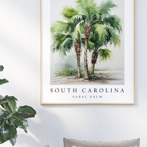 Sabal Palm, the State Tree of South Carolina, Poster Print, Wall Décor ...
