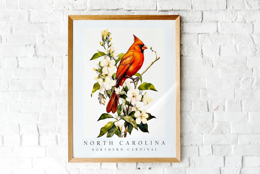 Northern Cardinal, North Carolina State Bird, Poster Print, Wall Décor ...