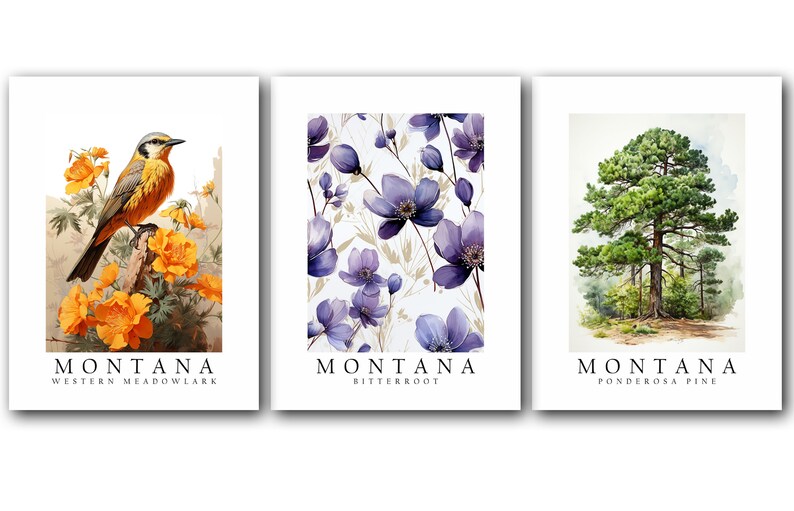 Montana State Symbols Poster Prints, Western Meadowlark, Ponderosa Pine ...