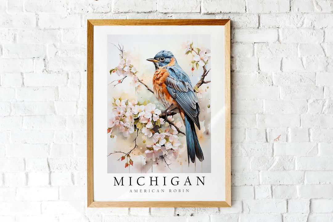 American Robin, the State Bird of Michigan, Poster Print, Wall Décor - Etsy