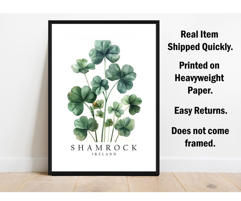 Shamrock, Ireland National Flower, Poster Print, Wall Home Décor - Etsy