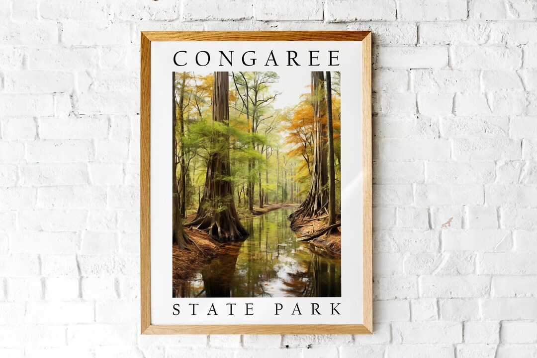 Congaree National State Park, Poster Print, Wall Décor - Etsy
