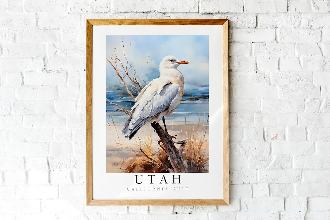 California Gull, the State Bird of Utah, Poster Print, Wall Décor - Etsy