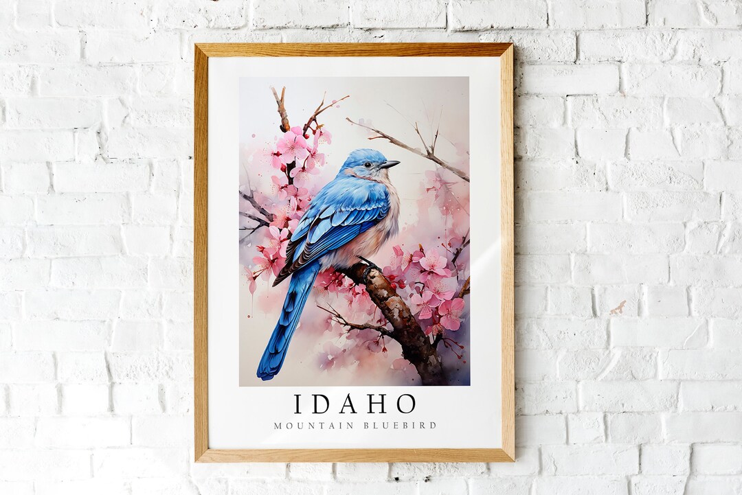 Mountain Bluebird, the State Bird of Idaho, Poster Print, Wall Décor - Etsy