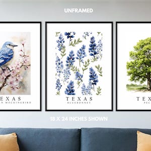 Texas State Symbols Poster Print Set, Mockingbird, Pecan, Bluebonnet - Etsy