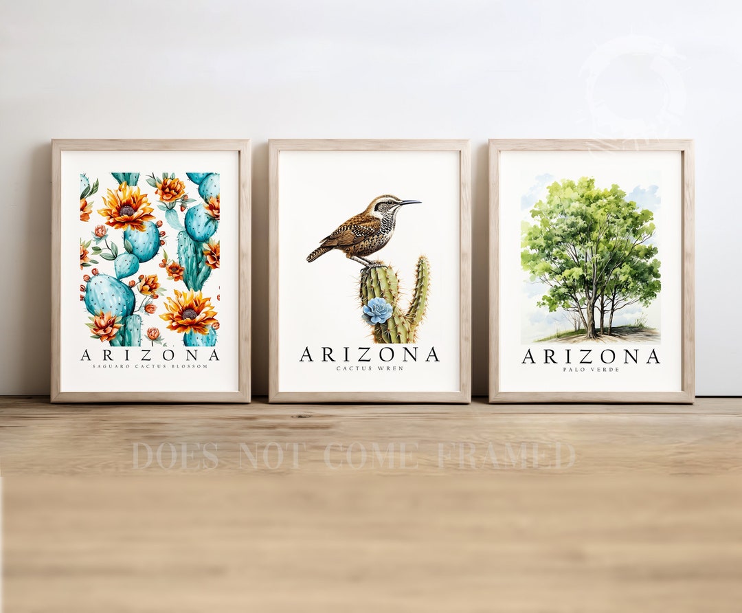 Arizona State Bird Cactus Wren, State Tree Palo Verde, State Flower ...