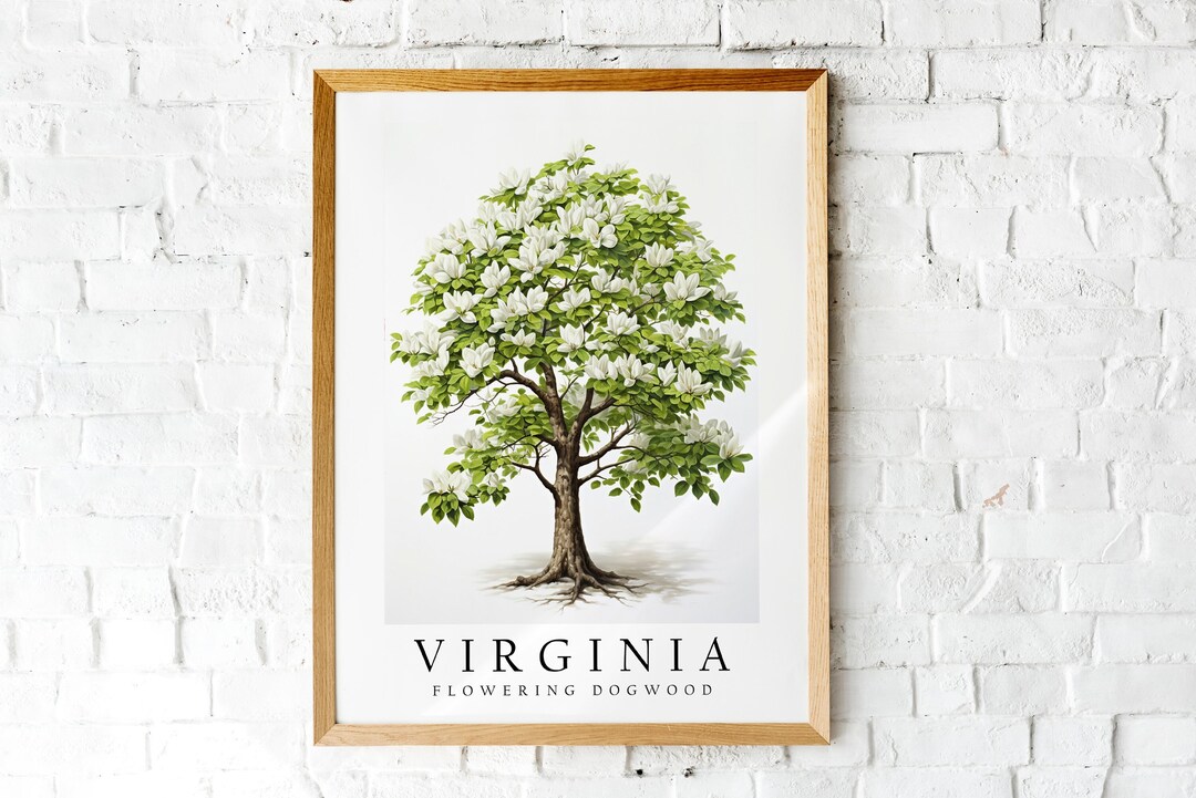 Flowering Dogwood, the State Tree of Virginia, Poster Print, Wall Décor ...