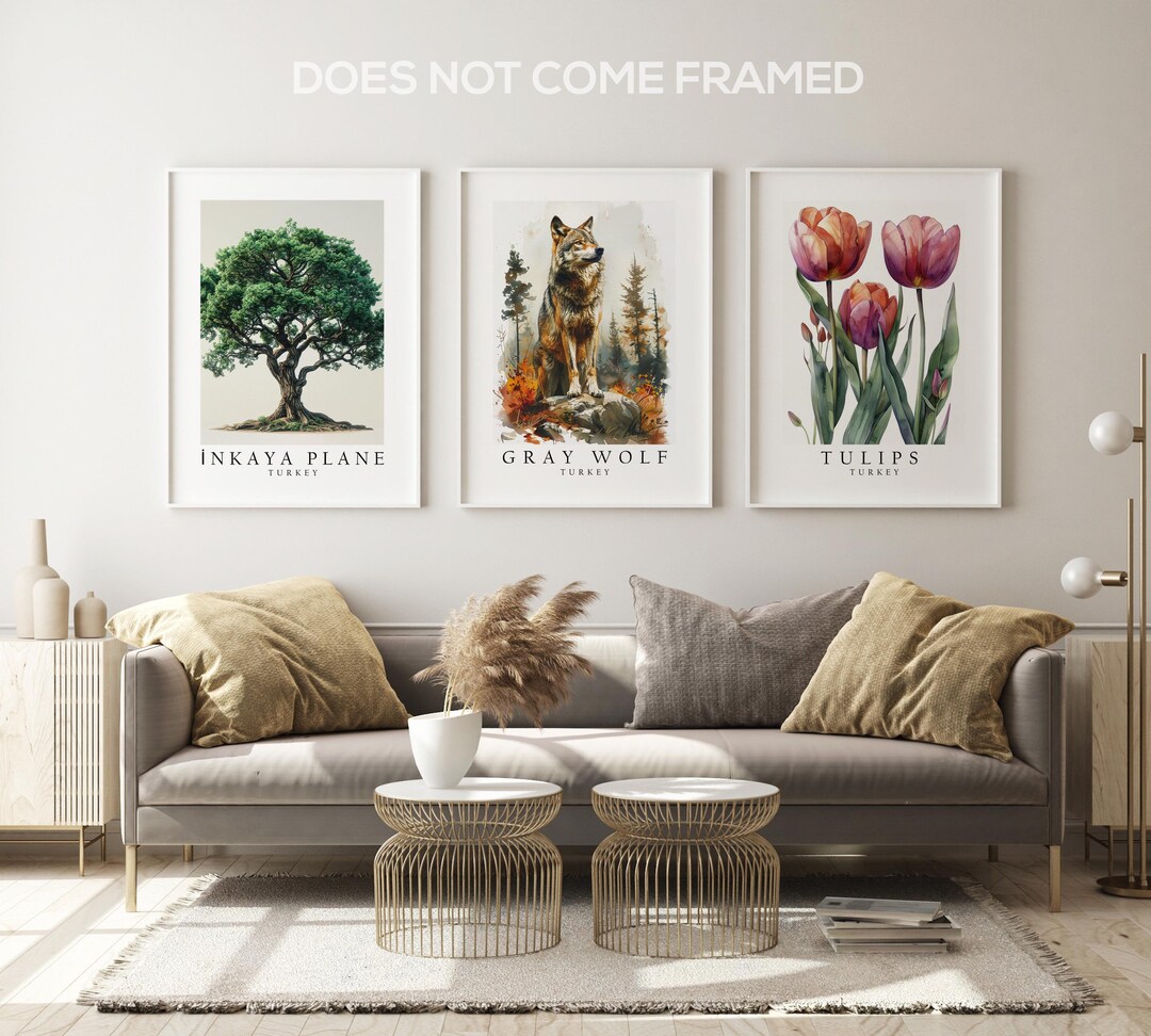 Turkey National Symbols, the Grey Wolf, Tulip Flower, Inkaya Plane Tree ...