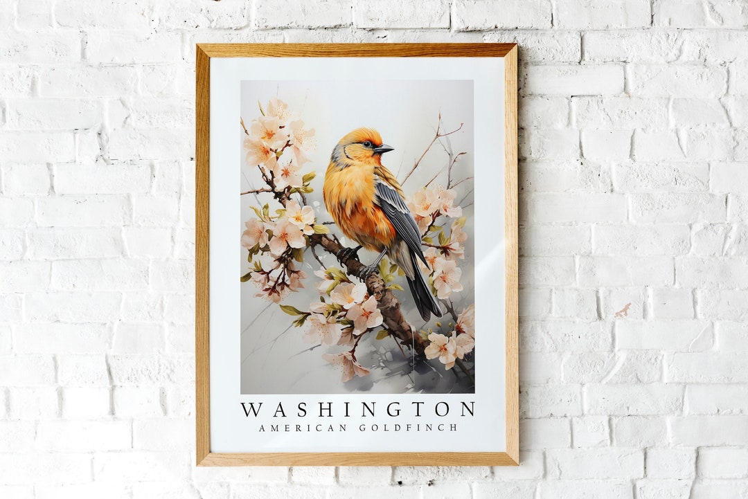 American Goldfinch, the State Bird of Washington, Poster Print, Wall ...