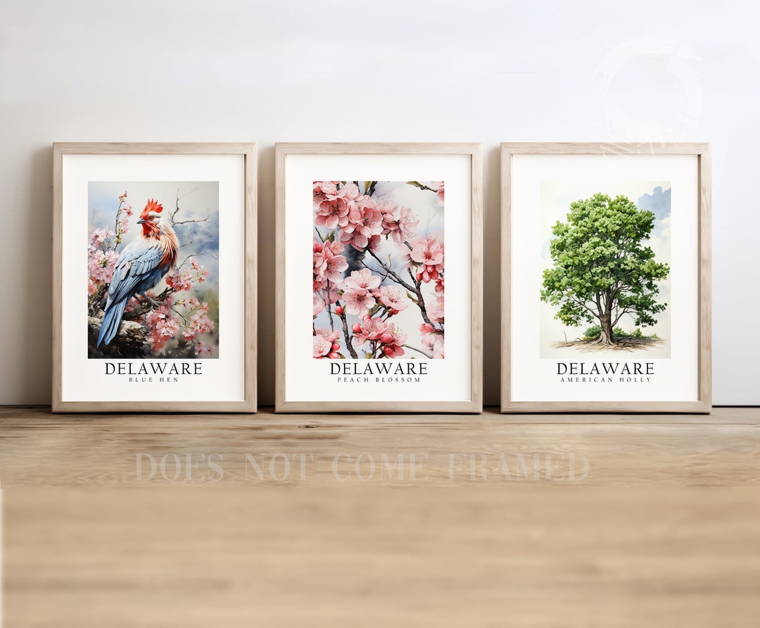Delaware State Bird Blue Hen, State Tree American Holly, State Flower ...